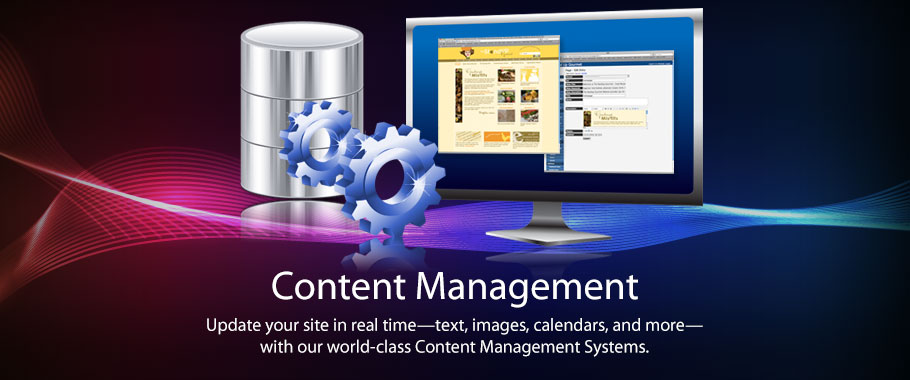 Payment | Seventh Planet | Web and Print Design Payment | Seventh Planet | Web and Print Design